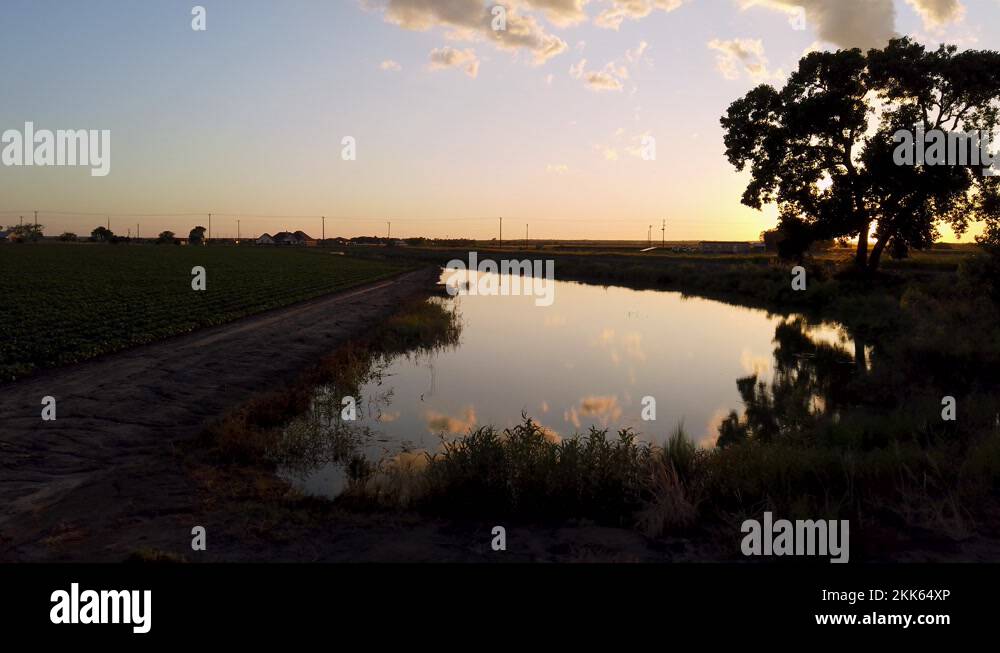Texas corn field Stock Videos & Footage - HD and 4K Video Clips - Alamy