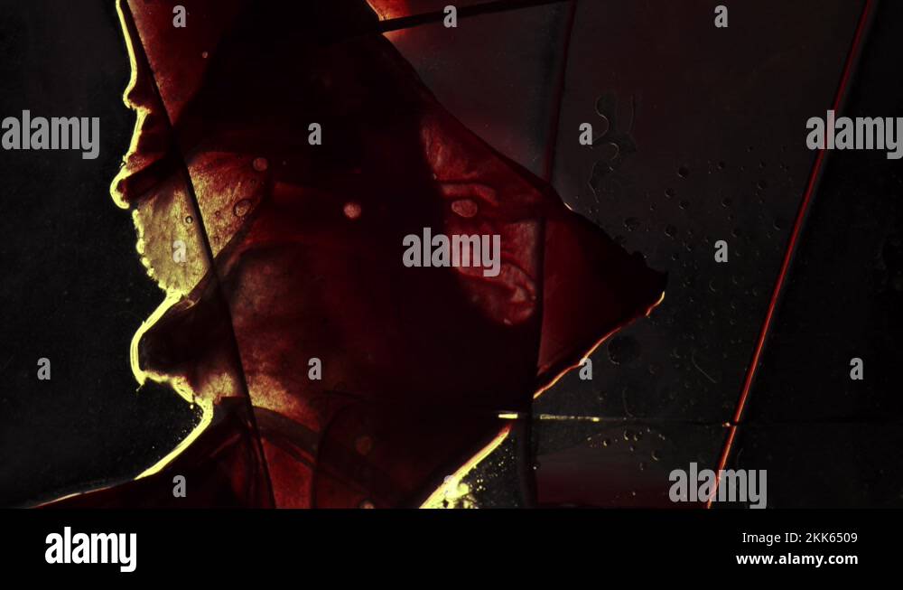 Stationary shot of blood red ink spreading on a transparent surface ...