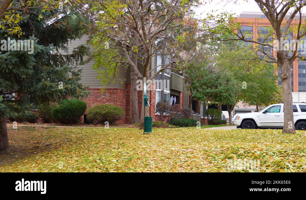 Falling out of trees Stock Videos & Footage - HD and 4K Video Clips - Alamy