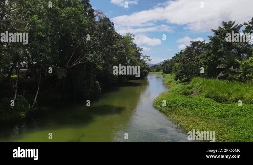 Crocodile infested water Stock Videos & Footage - HD and 4K Video Clips ...