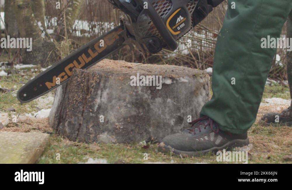 Chainsaw on cut log Stock Videos & Footage - HD and 4K Video Clips - Alamy