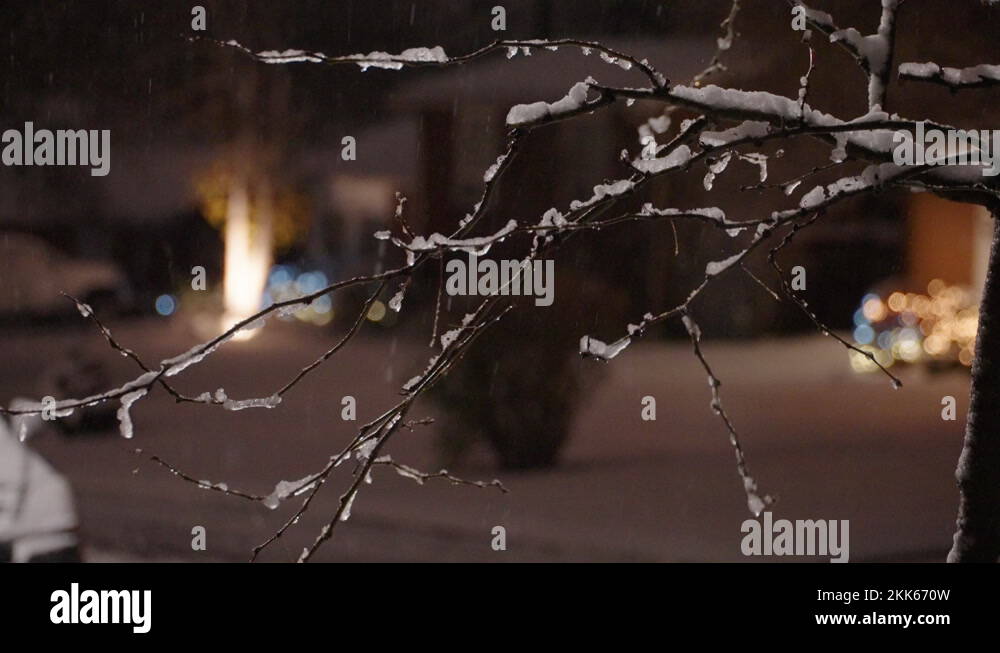 Ice tree branches Stock Videos & Footage - HD and 4K Video Clips - Alamy