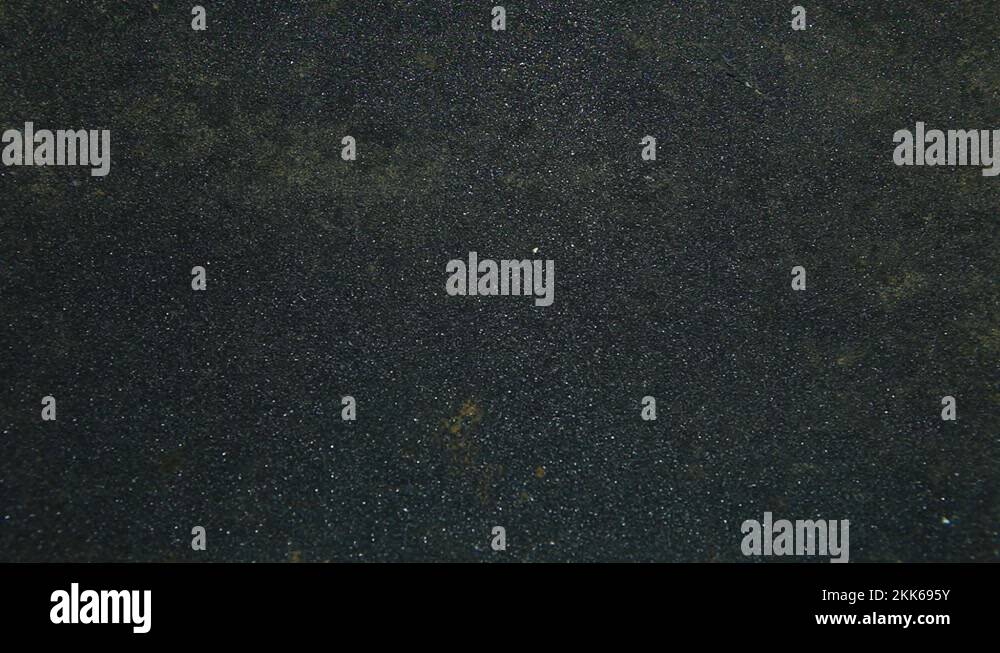 Asphalt manager Stock Videos & Footage - HD and 4K Video Clips - Alamy