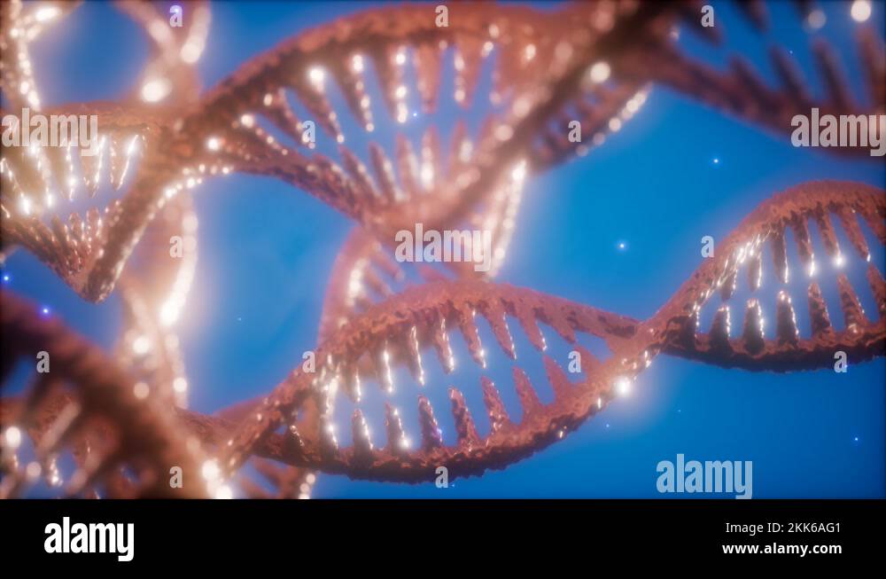 structure of the DNA double helix animation Stock Video Footage - Alamy