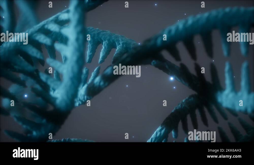 double helical structure of dna strand close-up animation Stock Video ...