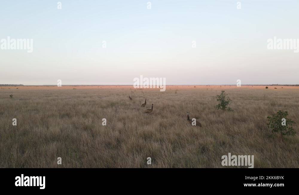 Outback australia australian landscape landscapes Stock Videos ...