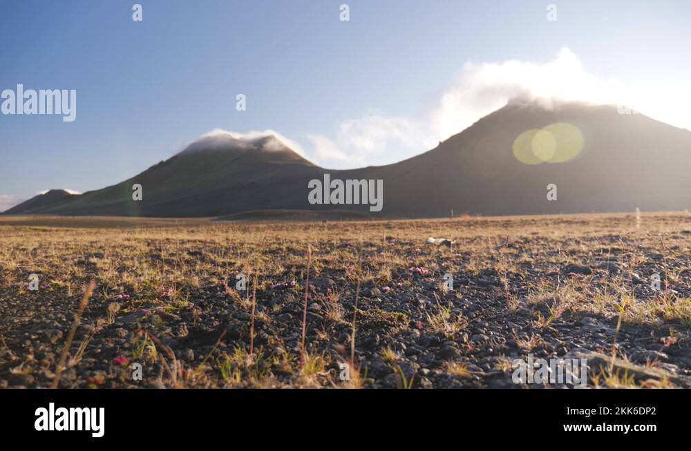 Volcanoes grass Stock Videos & Footage - HD and 4K Video Clips - Alamy
