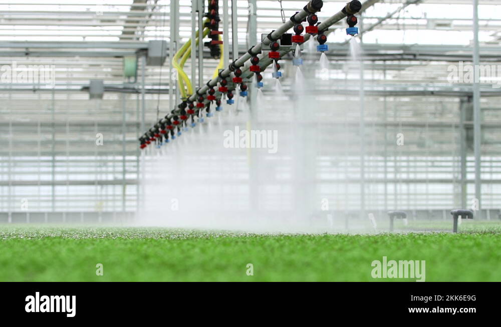 Mass production of plants Stock Videos & Footage - HD and 4K Video ...
