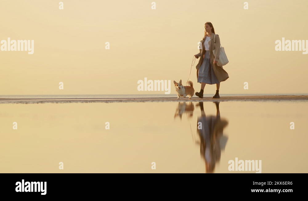 Dog and woman walk along beach in quick way at sunset spbi Stock Video ...
