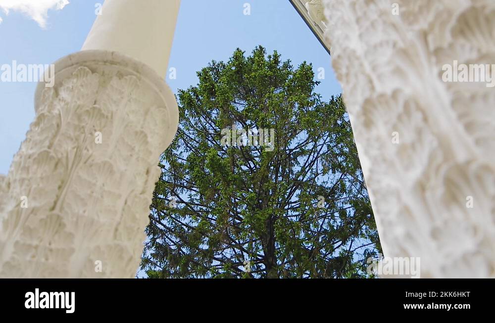 Tall columns classic Stock Videos & Footage - HD and 4K Video Clips - Alamy