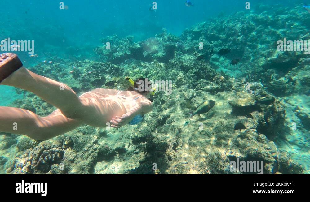 Female Snorkelling Underwater Along The Great Barrier Reef. Follow Shot ...
