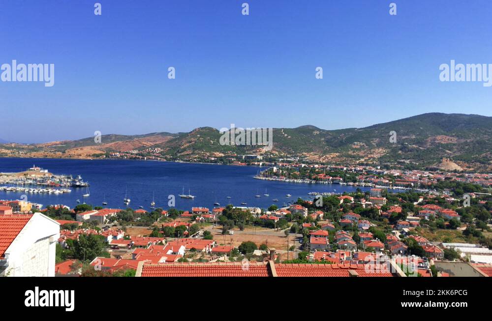 Foca Stock Videos & Footage - HD and 4K Video Clips - Alamy