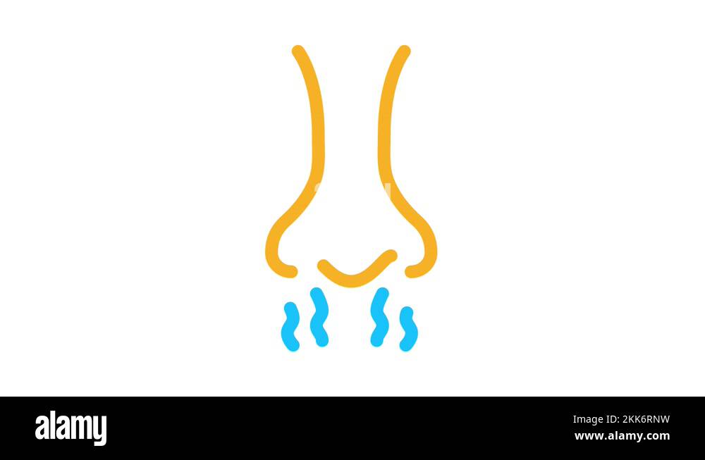 Nose pictogram Stock Videos & Footage - HD and 4K Video Clips - Alamy