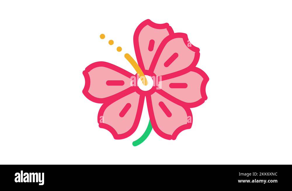 Asia hibiscus flower Stock Videos & Footage - HD and 4K Video Clips - Alamy