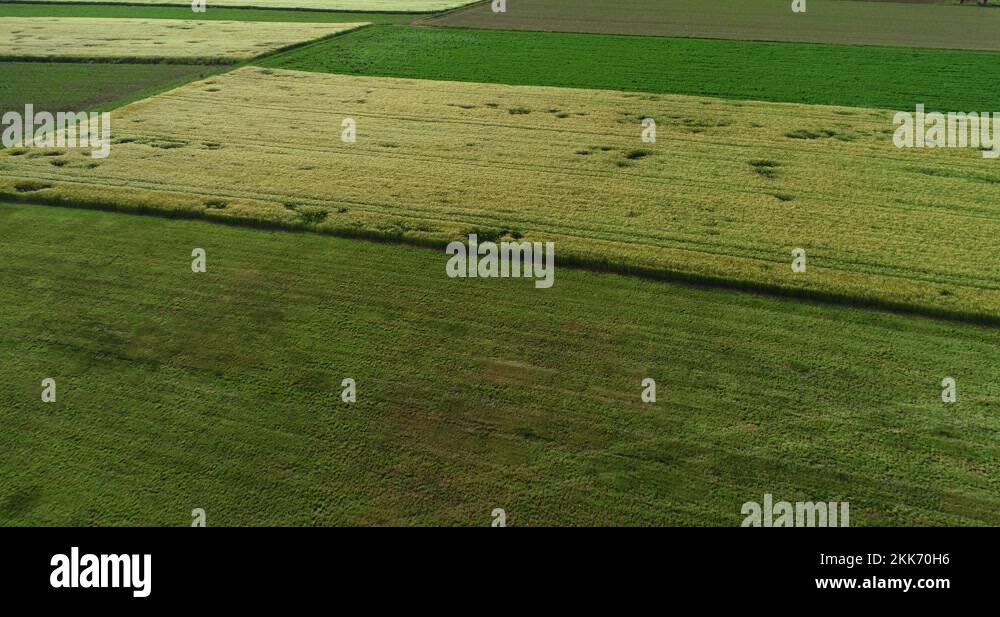Flatland farming Stock Videos & Footage - HD and 4K Video Clips - Alamy