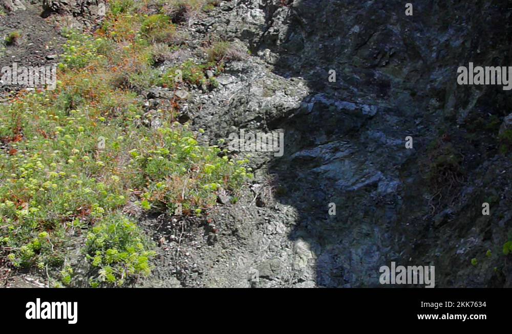 Vertical overview Stock Videos & Footage - HD and 4K Video Clips - Alamy