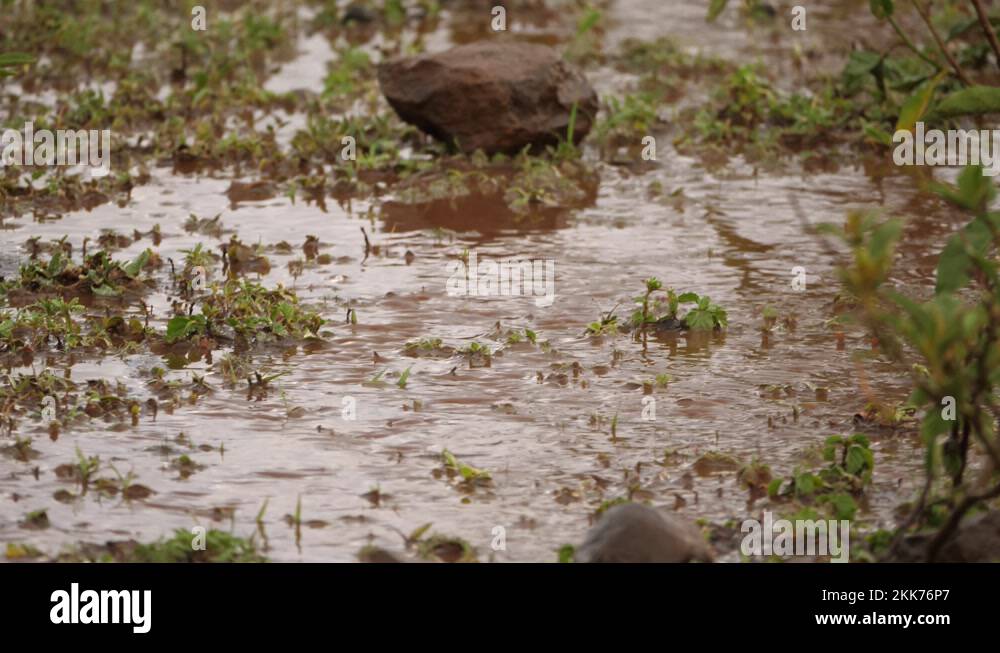 Muddy running water Stock Videos & Footage - HD and 4K Video Clips - Alamy