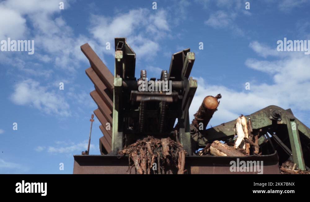 Logging history Stock Videos & Footage - HD and 4K Video Clips - Alamy