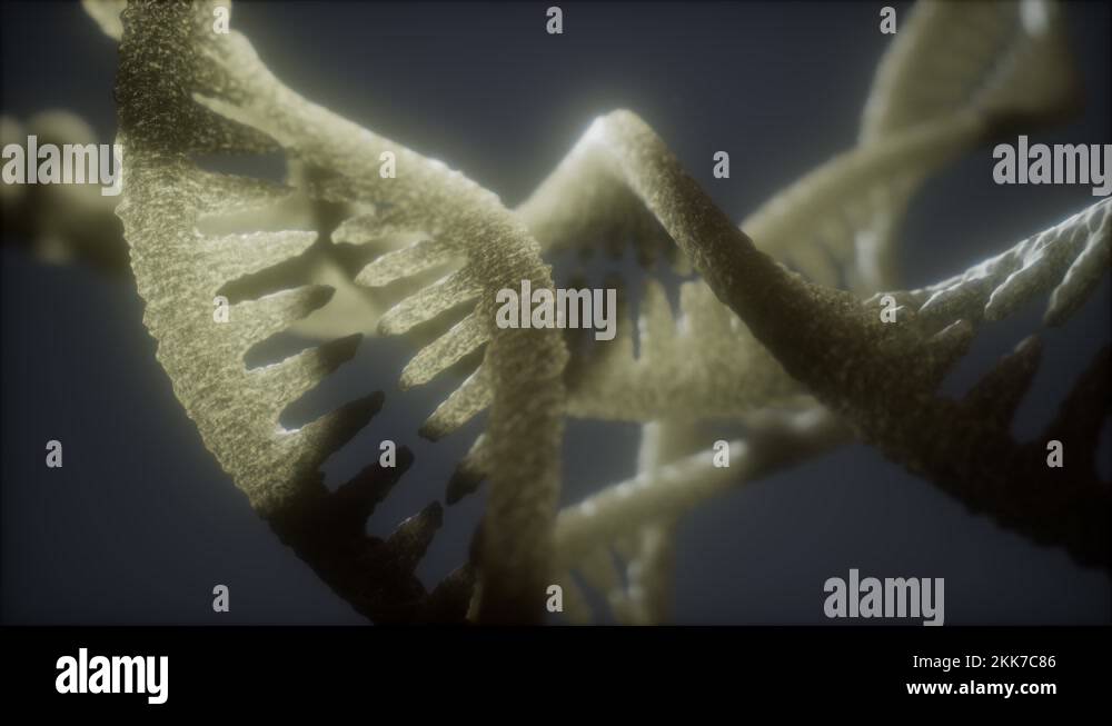 loop double helical structure of dna strand close-up animation Stock ...