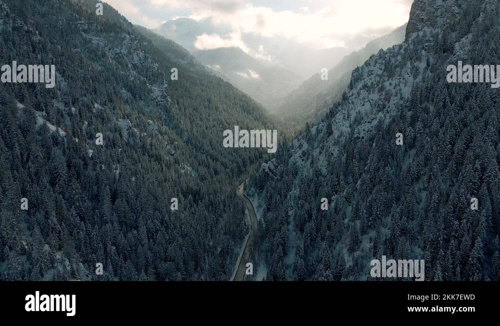 Steep road pine trees Stock Videos & Footage - HD and 4K Video Clips ...