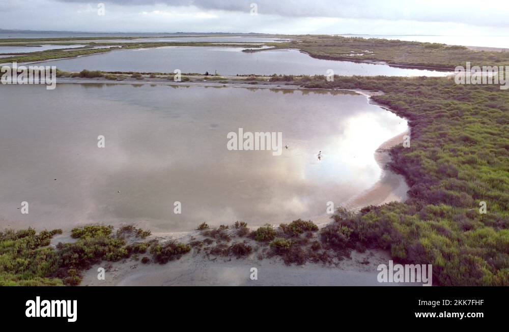 Some aerial shots of some ducks taking off in flight, in a protected ...