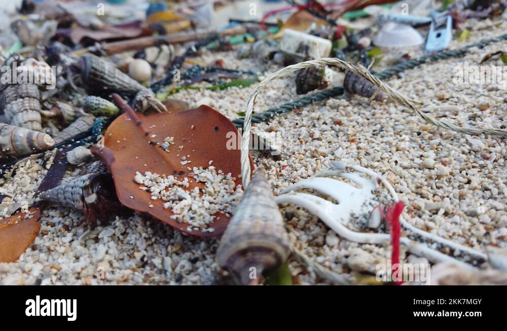 Tidal wash on beach Stock Videos & Footage - HD and 4K Video Clips - Alamy