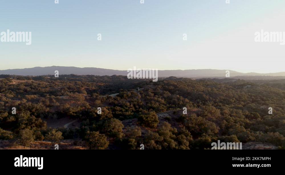 Oak tree aerial Stock Videos & Footage - HD and 4K Video Clips - Alamy