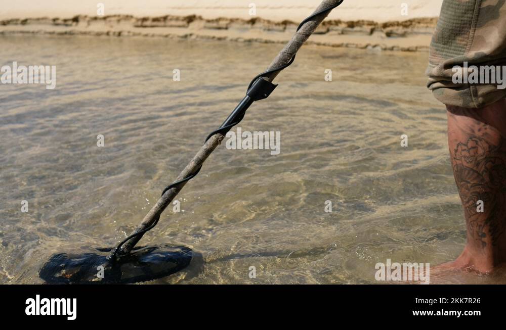 Metal detectors Stock Videos & Footage - HD and 4K Video Clips - Alamy