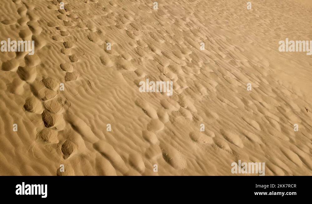 Dune pattern Stock Videos & Footage - HD and 4K Video Clips - Alamy