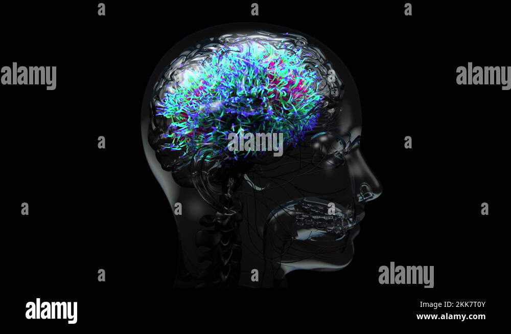 Brain confusion Stock Videos & Footage - HD and 4K Video Clips - Alamy