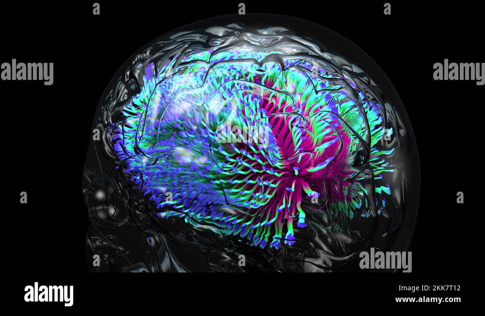 Human brain memory mri Stock Videos & Footage - HD and 4K Video Clips ...