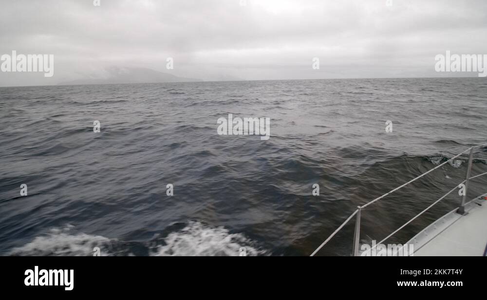 Dynamic action shot Stock Videos & Footage - HD and 4K Video Clips - Alamy