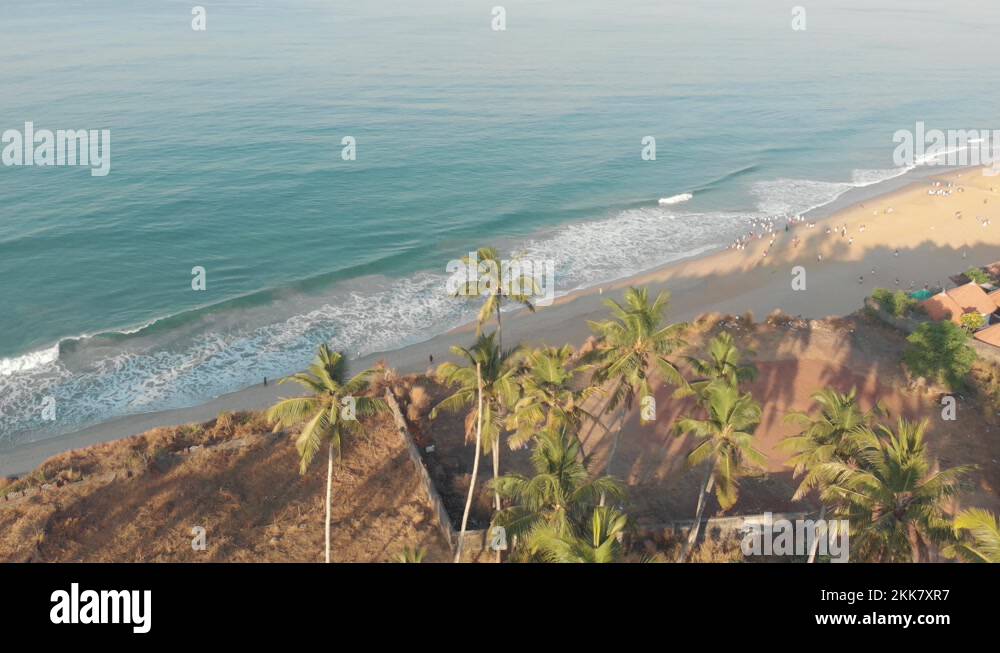 Arabian trees Stock Videos & Footage - HD and 4K Video Clips - Alamy