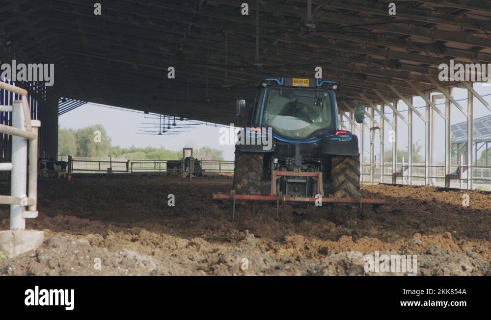 Tractor plowing Manure in a dairy farm shed Stock Video Footage - Alamy