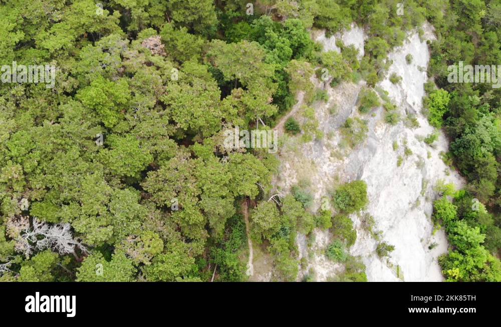 E forest Stock Videos & Footage - HD and 4K Video Clips - Alamy