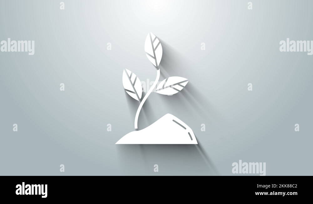 White sprout Stock Videos & Footage - HD and 4K Video Clips - Alamy