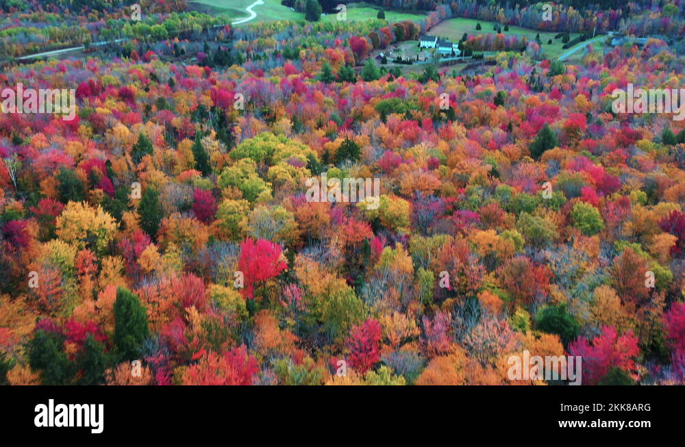 Magical fall colors Stock Videos & Footage - HD and 4K Video Clips - Alamy