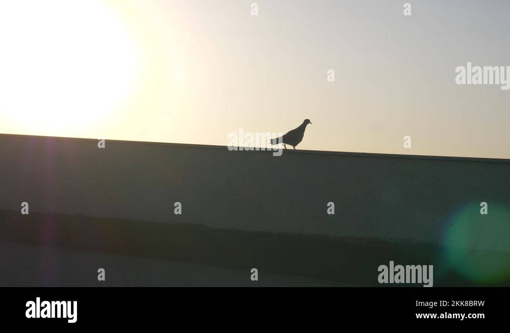 What good looks like Stock Videos & Footage - HD and 4K Video Clips - Alamy