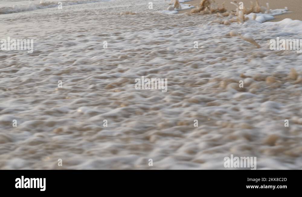 Hide on water Stock Videos & Footage - HD and 4K Video Clips - Alamy