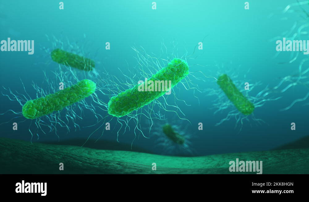 Proteobacteria microscope Stock Videos & Footage - HD and 4K Video ...