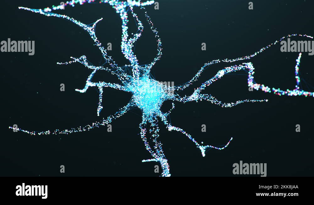 Chemical synapses neuron Stock Videos & Footage - HD and 4K Video Clips ...
