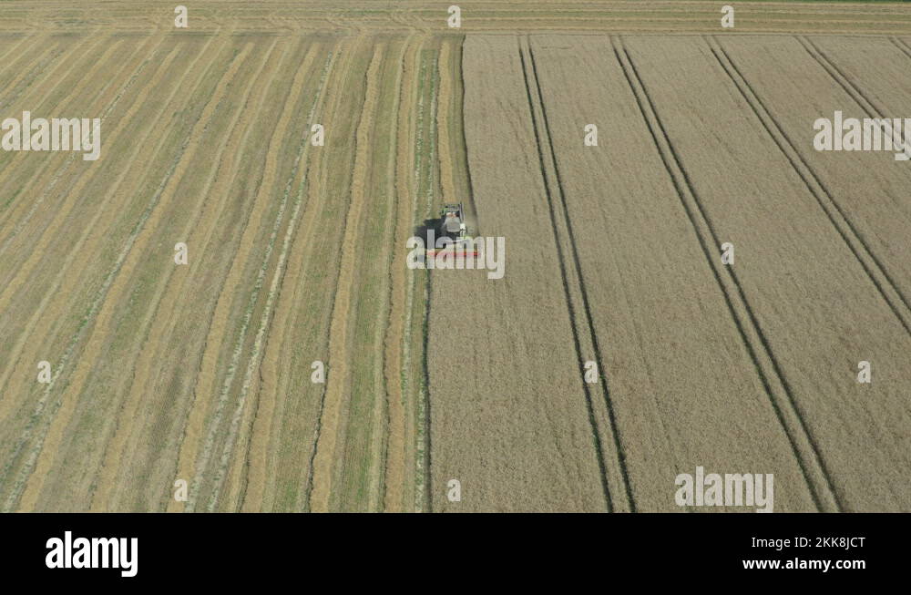 Combine harvesting wheat crops from field, aerial front view Stock ...