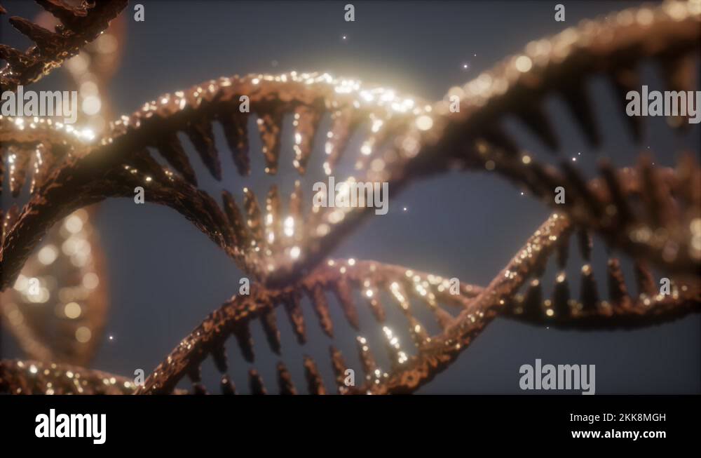 double helical structure of dna strand close-up animation Stock Video ...