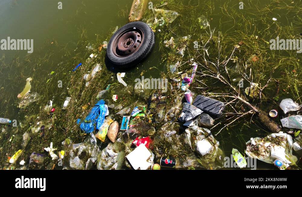 Dirty polluted lake full of trash Stock Video Footage - Alamy