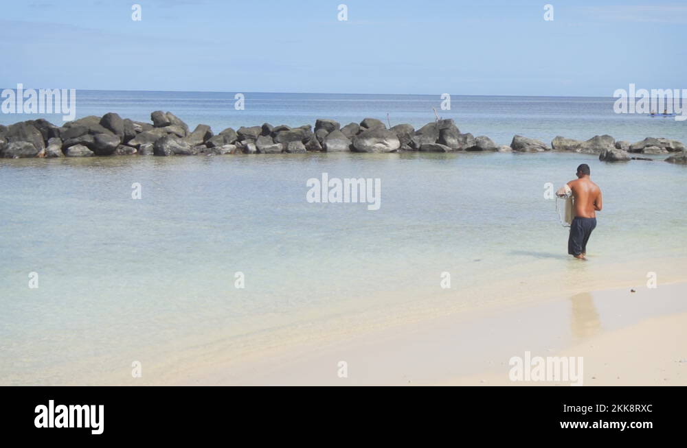 Mauritius tropical fish Stock Videos & Footage - HD and 4K Video Clips ...