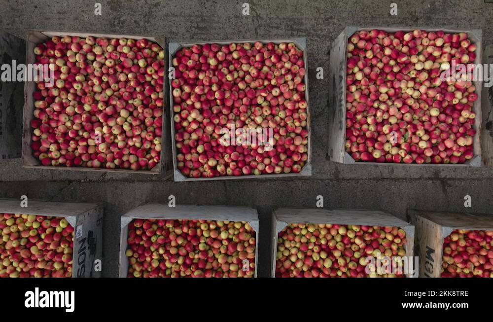 Apple crates Stock Videos & Footage - HD and 4K Video Clips - Alamy