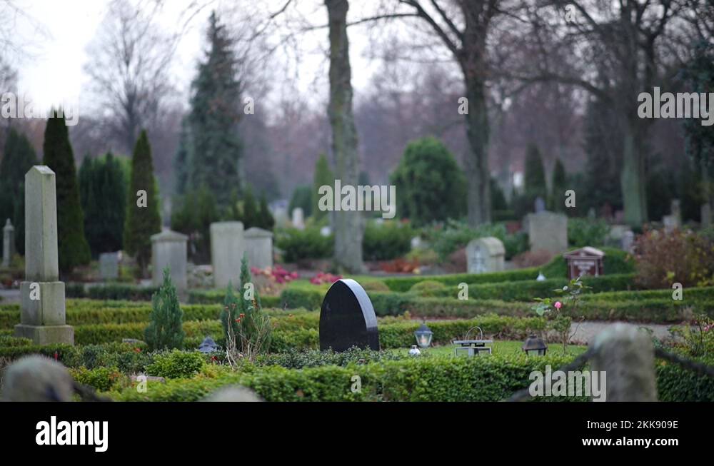 Tombstones trees Stock Videos & Footage - HD and 4K Video Clips - Alamy