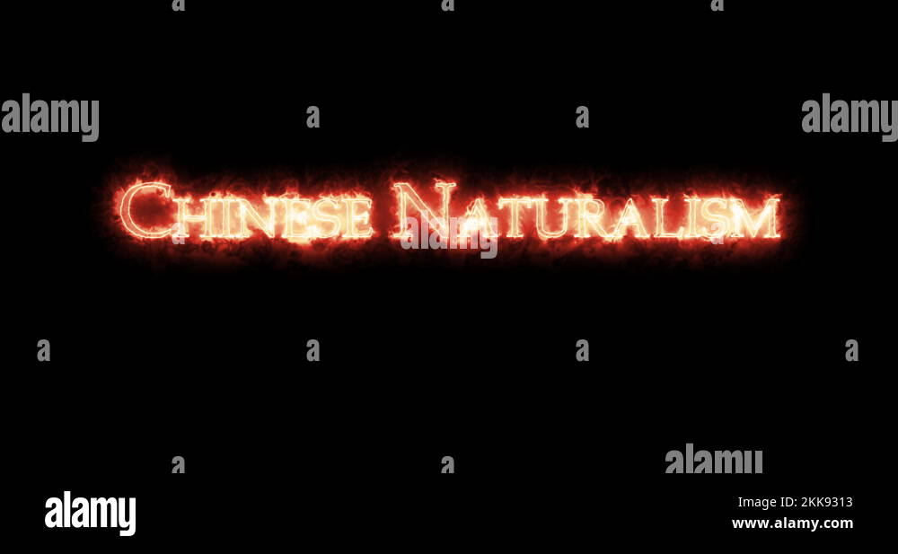 Naturalism Stock Videos & Footage - HD and 4K Video Clips - Alamy