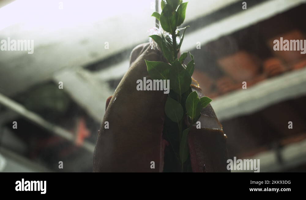 Hog tied Stock Videos & Footage - HD and 4K Video Clips - Alamy