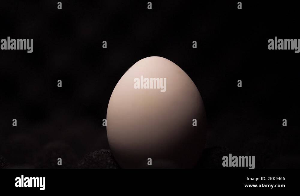 Light moving horizontally from left to right revealing one beige egg on ...